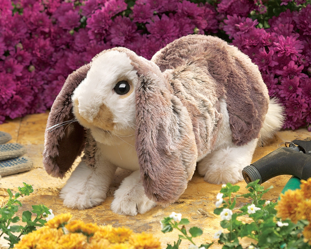 Folkmanis® Baby Lop Rabbit Puppet