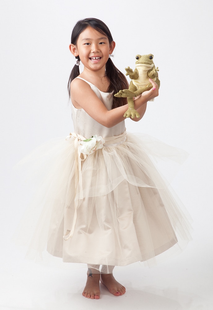 Folkmanis® Funny Frog Hand Puppet