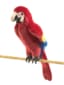 Folkmanis® Scarlet Macaw Puppet – Jadrem Toys
