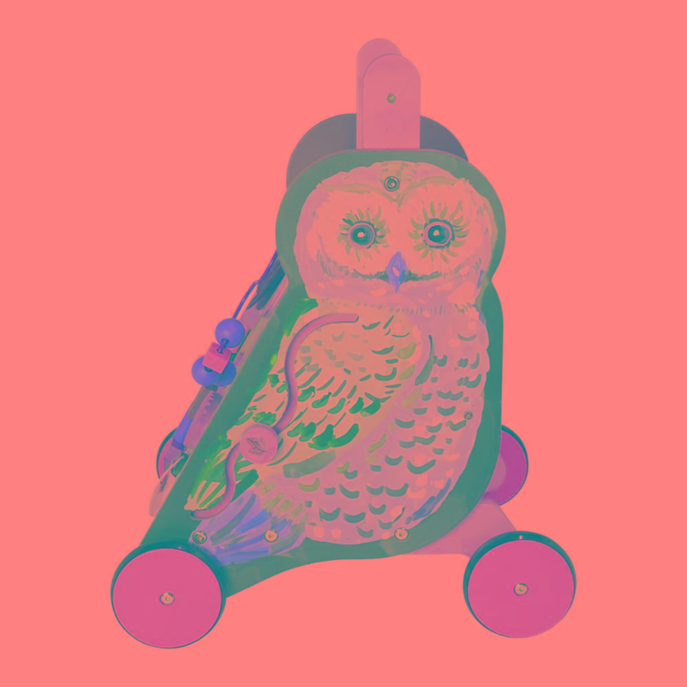 Manhattan Wildwoods Owl Activity Walker