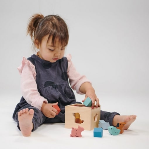 Mentari Bambino Shape Sorting Cube: Magical Shape-Sorting Fun Mentari Bambino Shape Sorting Cube: Magical Shape-Sorting Fun